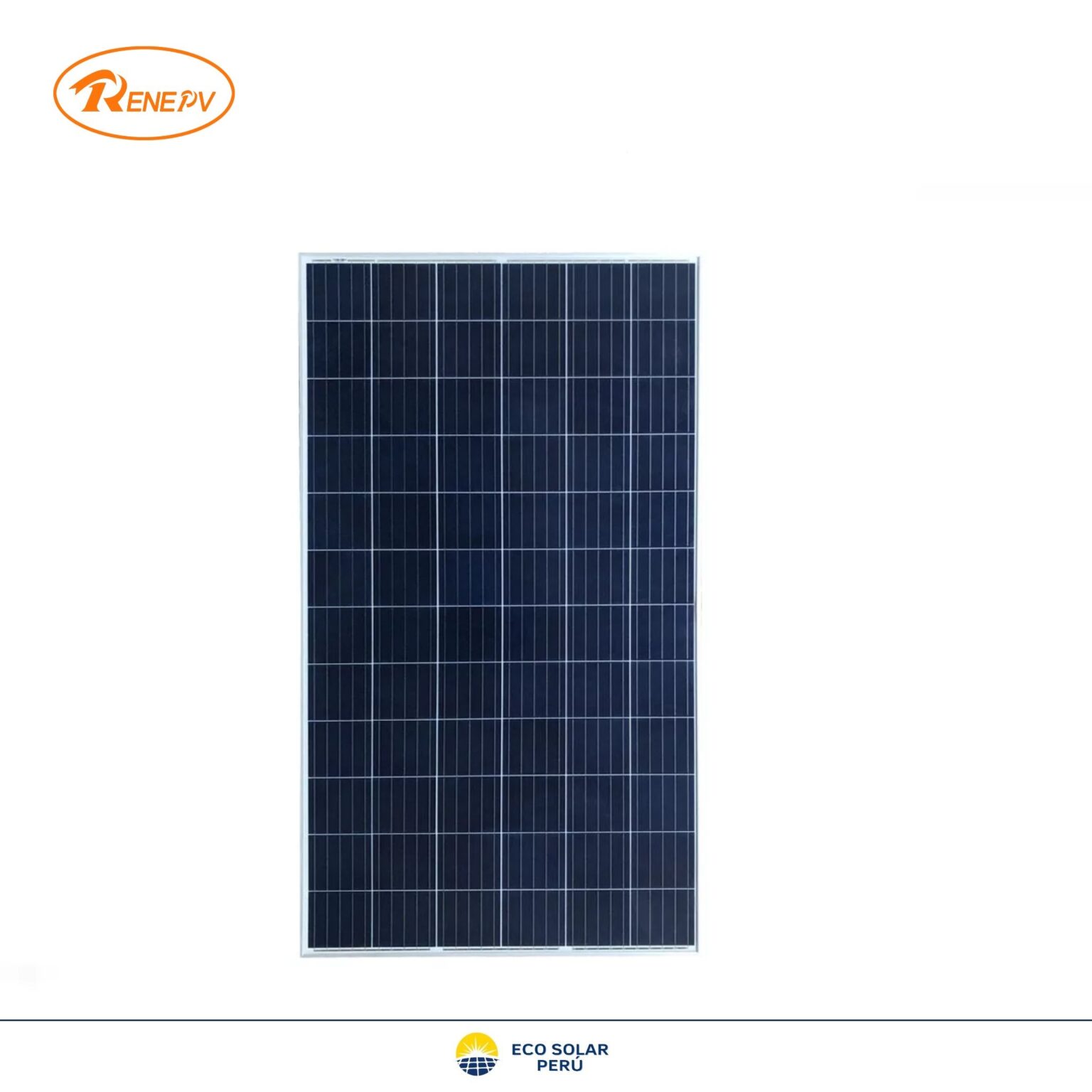 Panel Renepv Solar 320W 24V Policristalino - Paneles solares en Perú ...